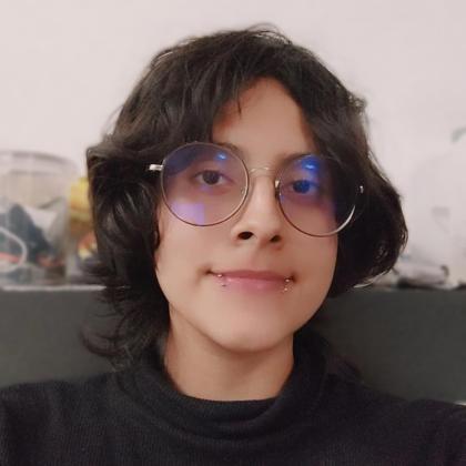 América Niño | Técnico en Programación Web